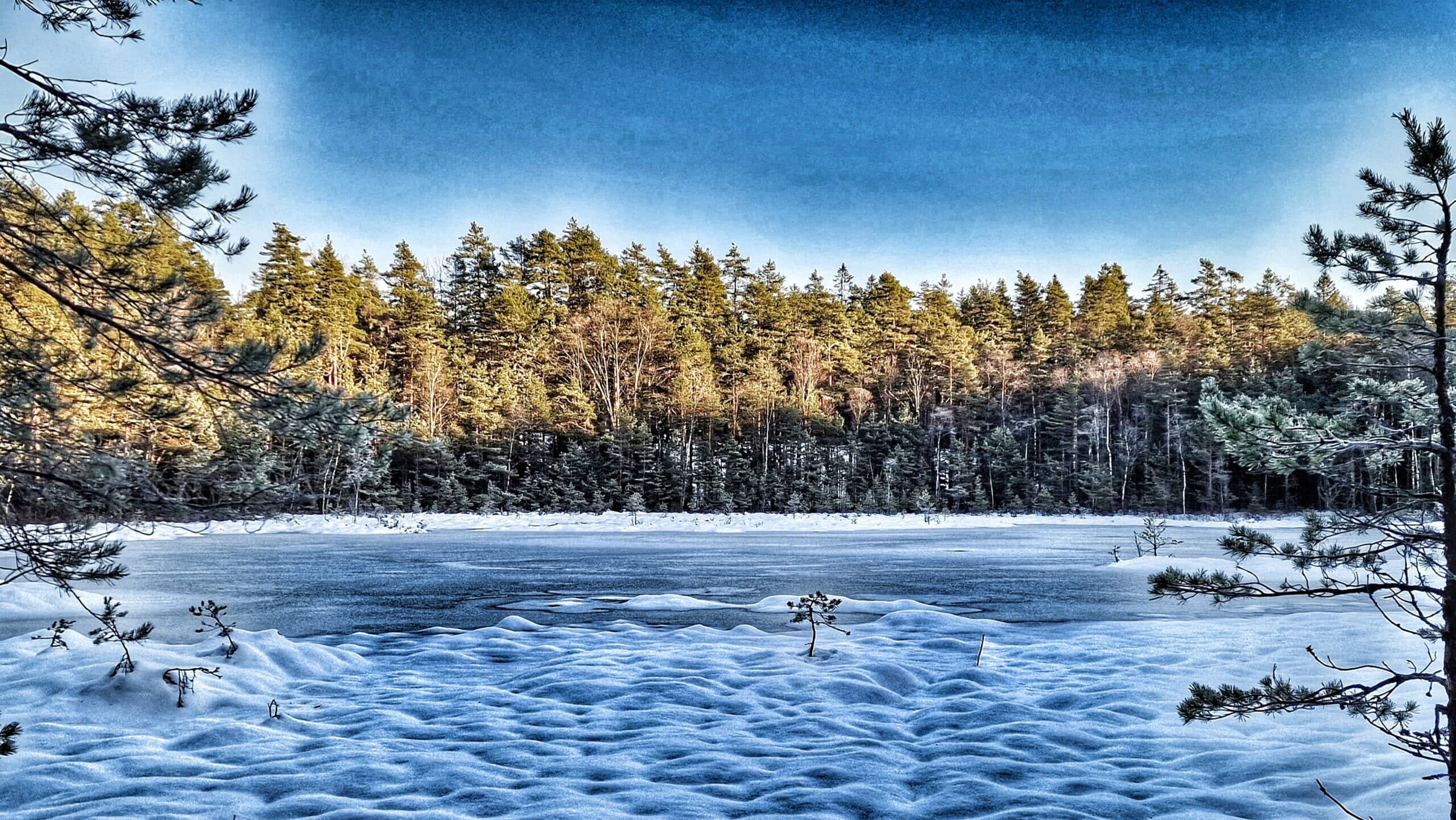 Skøyter og bål på Dikemark! (obs: ny dato) - MS Forbundet